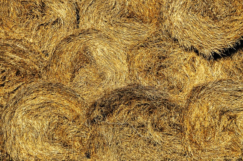 Rolling Haystack texture stock image. Image of agriculture - 25578609