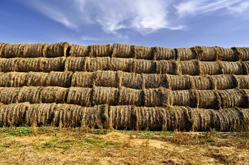 Rolling Haystack stock photo. Image of farm, agricultural - 27671732