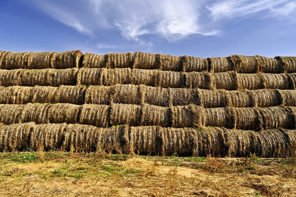 Rolling Haystack stock photo. Image of farm, agricultural - 27671732