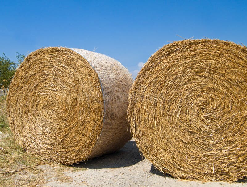 Rolling Haystack. Apulia stock photo. Image of forage - 13832136