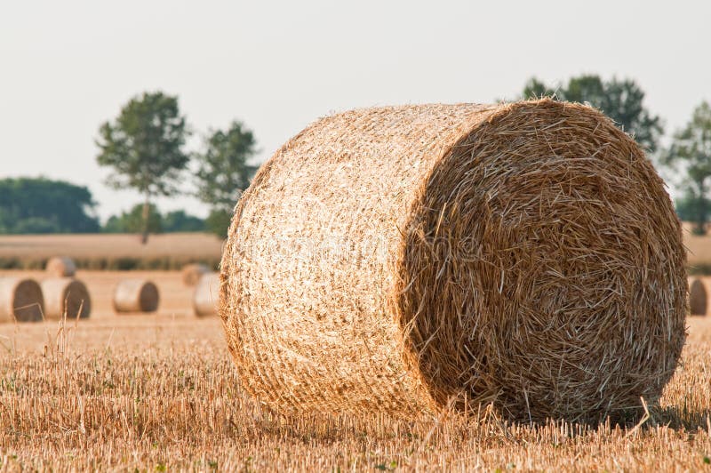 Rolling Haystack on Farmer Field Stock Photo - Image of landscape ...
