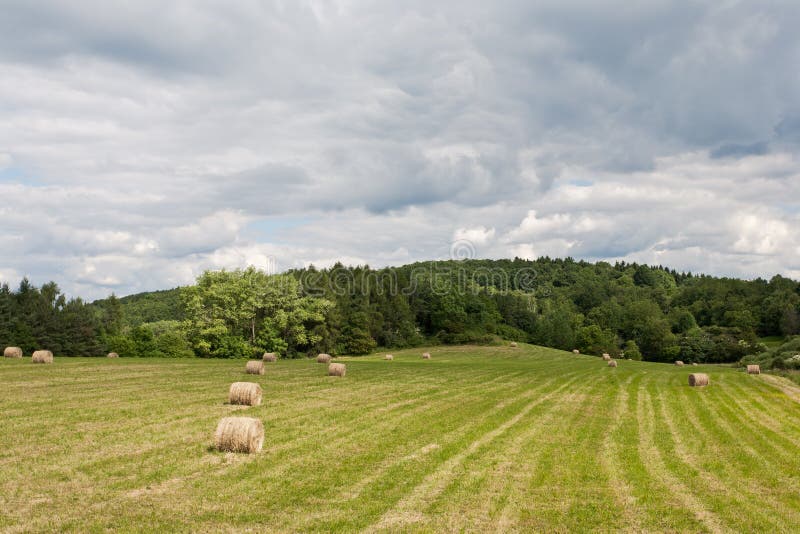 Rolling haystack. stock image. Image of agriculture, farmland - 42983365