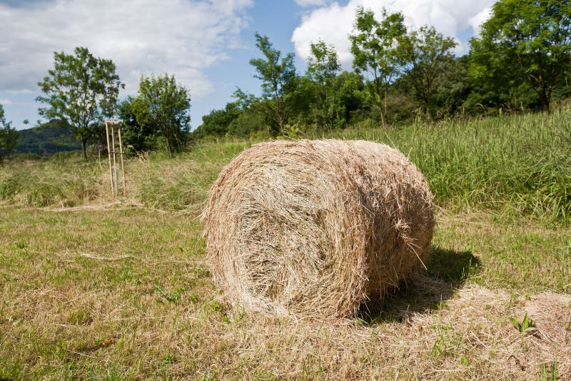 Rolling haystack. stock photo. Image of agriculture, green - 42983380