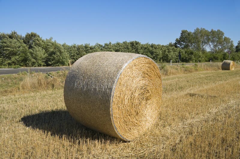 Rolling haystacks. stock image. Image of bale, land, forage - 15619755
