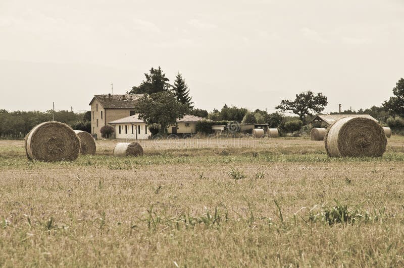 Rolling haystacks. stock image. Image of harvest, harvested - 15782537