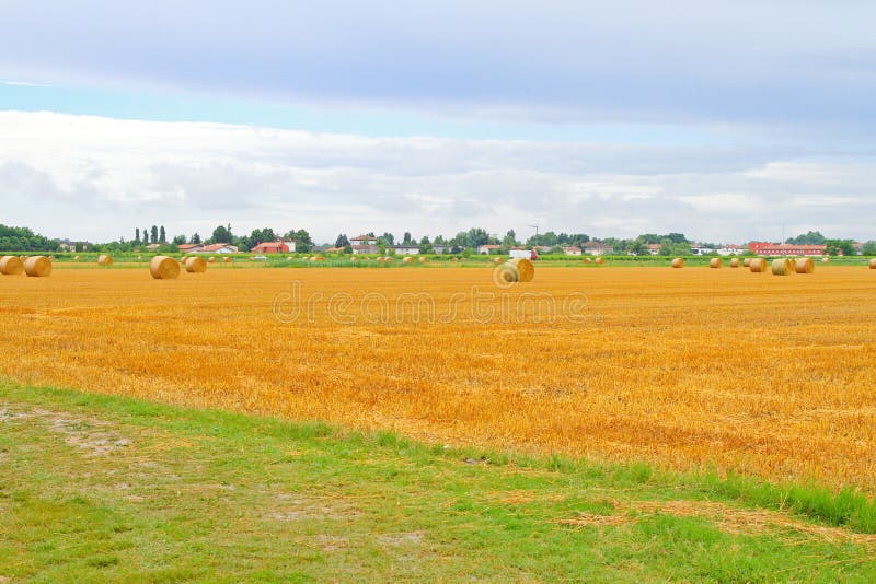 Field Rolling Haystack stock image. Image of stack, straw - 126166753