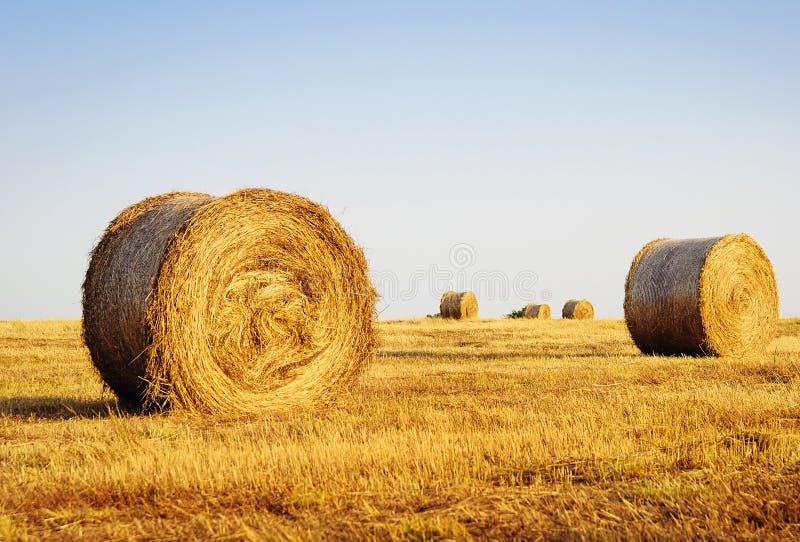 Rolling Haystacks in Countryside. Stock Image - Image of landscape ...