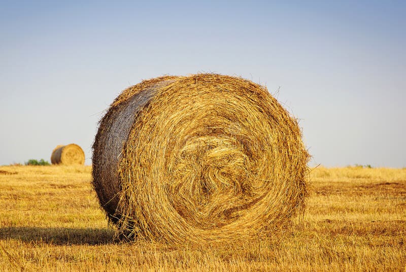 Rolling Haystacks in Countryside. Stock Image - Image of landscape ...