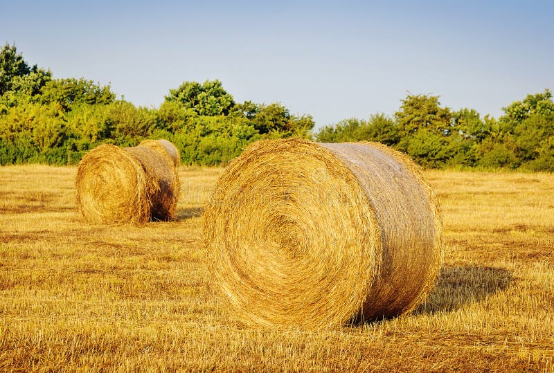 Rolling Haystacks in Countryside. Stock Image - Image of landscape ...