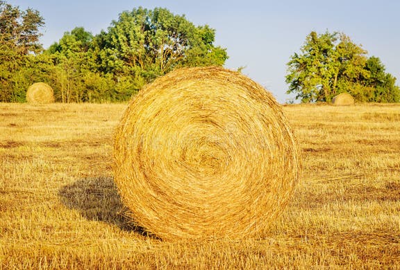 Rolling Haystacks in Countryside. Stock Image - Image of agriculture ...