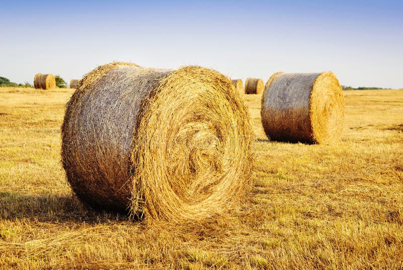 Rolling Haystacks in Countryside. Stock Image - Image of landscape ...