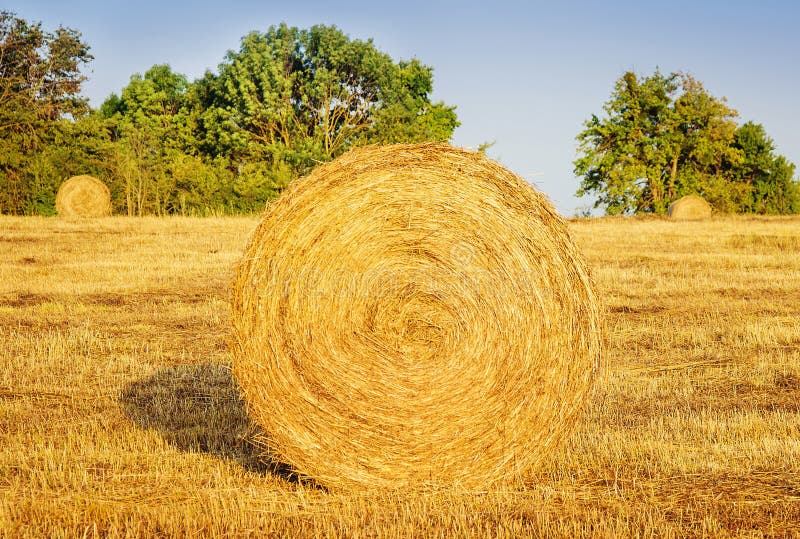 Rolling Haystacks in Countryside. Stock Image - Image of landscape ...