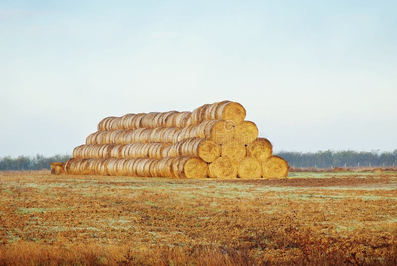 Rolling Haystacks in Countryside. Stock Photo - Image of farmland ...