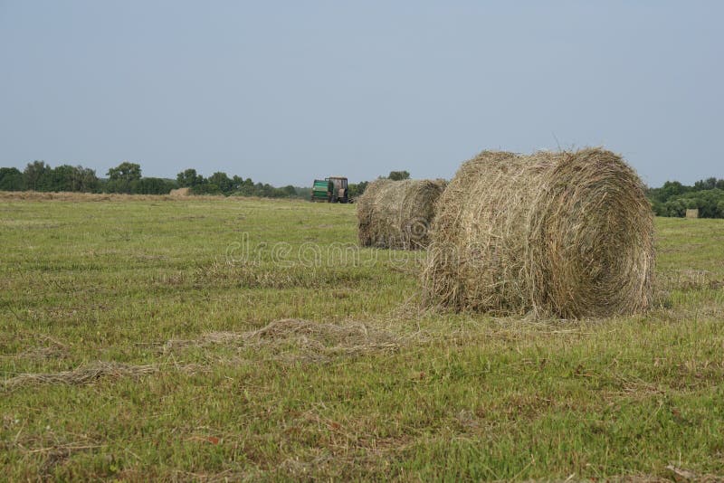 Rolling Haystacks in Countryside. Stock Photo - Image of country ...