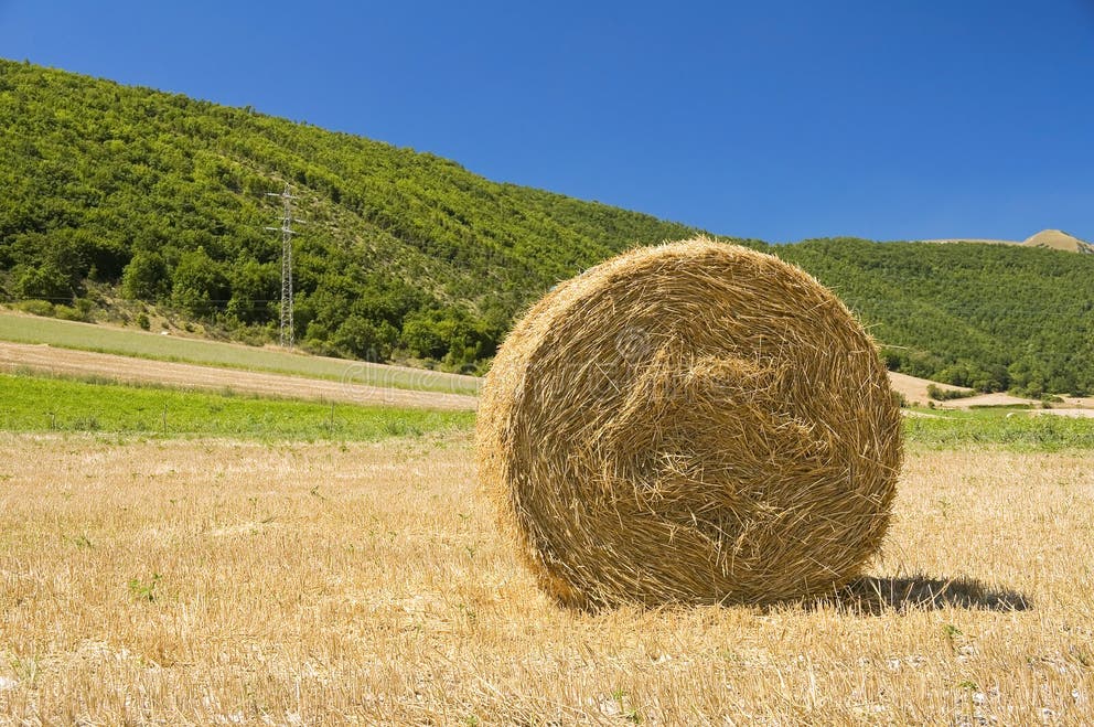 Rolling haystacks. stock image. Image of factory, blue - 62810889