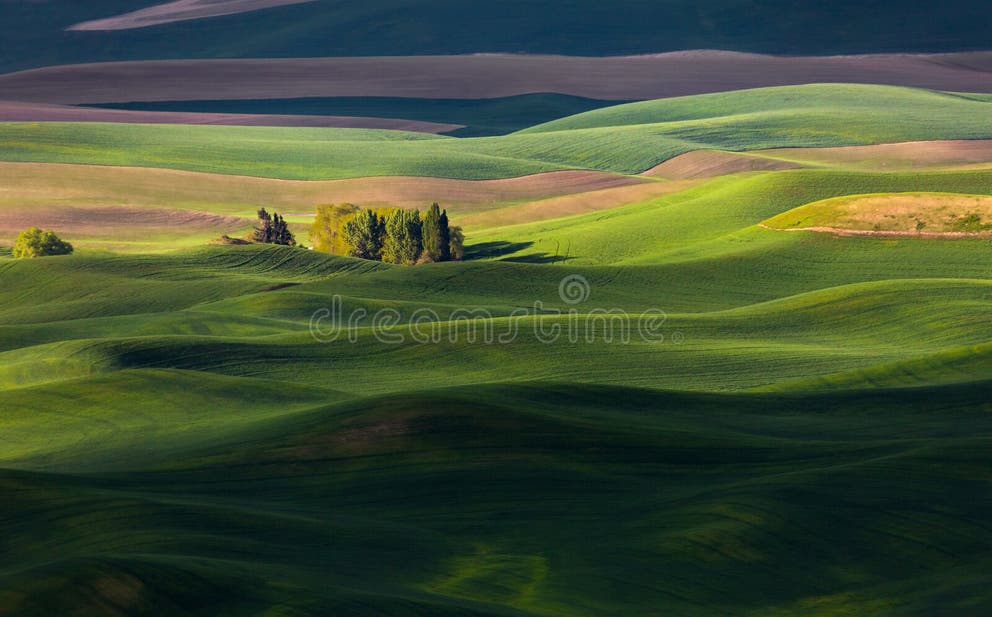 Rolling hill and Farm Land stock image. Image of rolling - 31754359