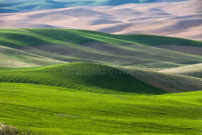 Rolling hill and Farm Land stock image. Image of backgrounds - 34372967