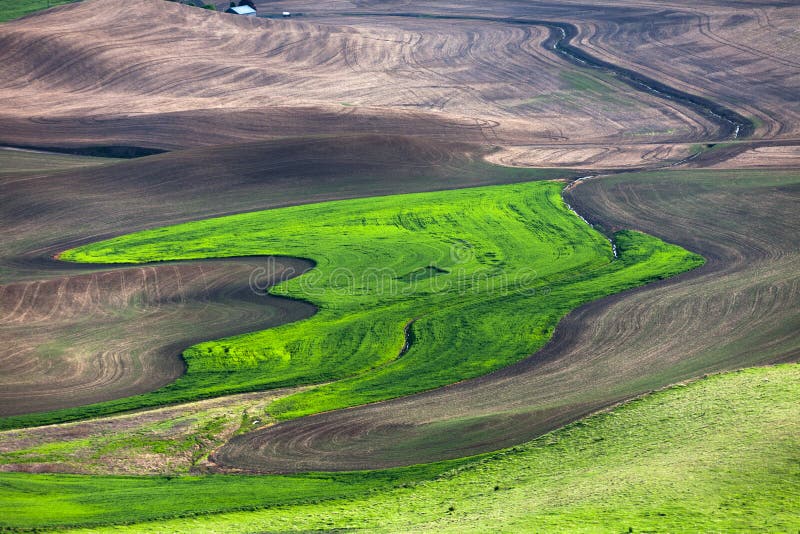 Rolling hill and Farm Land stock image. Image of plant - 36402939