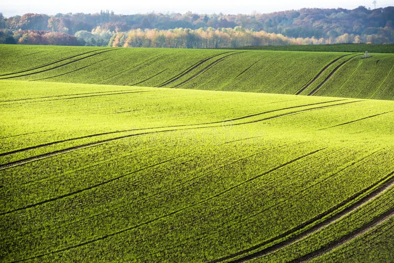 Rolling Hills in Autumn with Incident Sunlight. Incident Light Falling ...