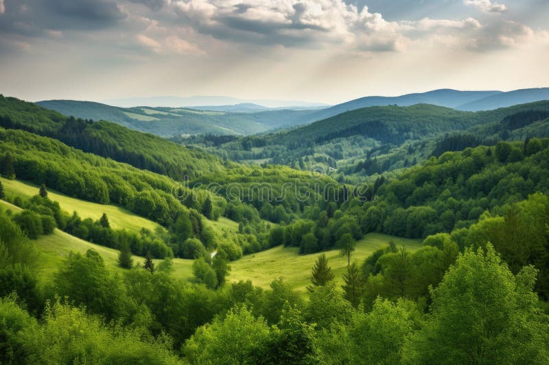 Rolling Hills with Deep Green Forests in the Background Stock ...