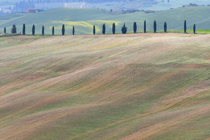 Rolling Hills of Different Colors in Soft Light, Tuscany, Italy Stock ...