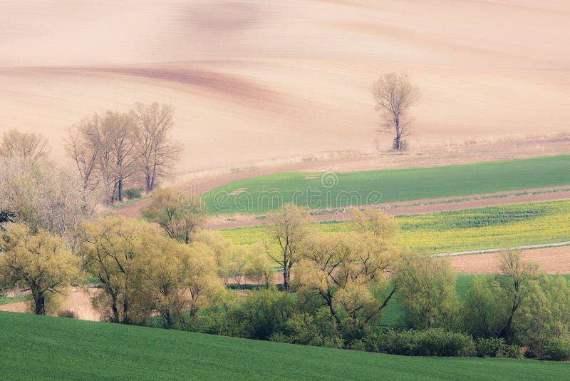 Rolling hills stock image. Image of countryside, waves - 64405379