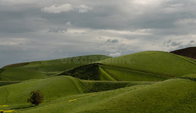 Rolling Hills of Northern California Stock Photo - Image of outdoors ...