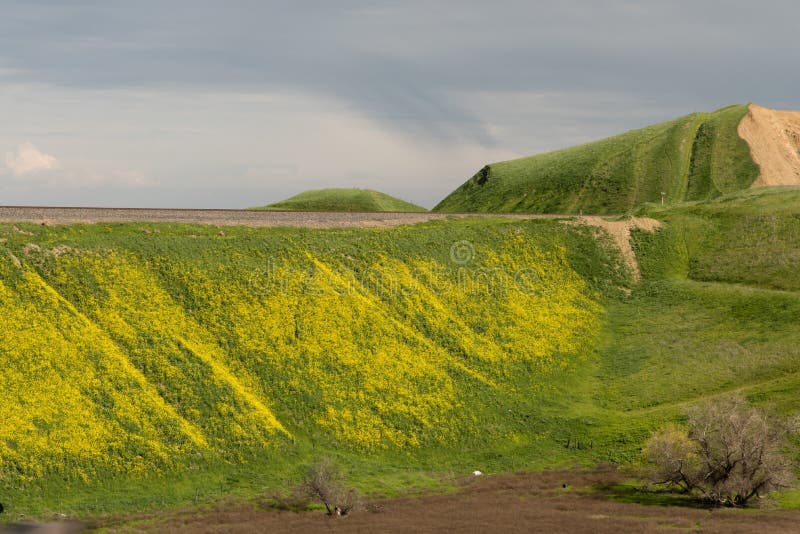 Rolling Hills of Northern California Stock Image - Image of central ...
