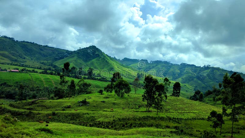 Rolling Hills in a Pastoral Countryside Stock Image - Image of hills ...