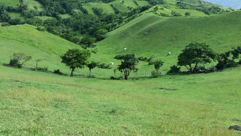 Scenic Rolling Farm Land with Old Red Barn Stock Photo - Image of ...