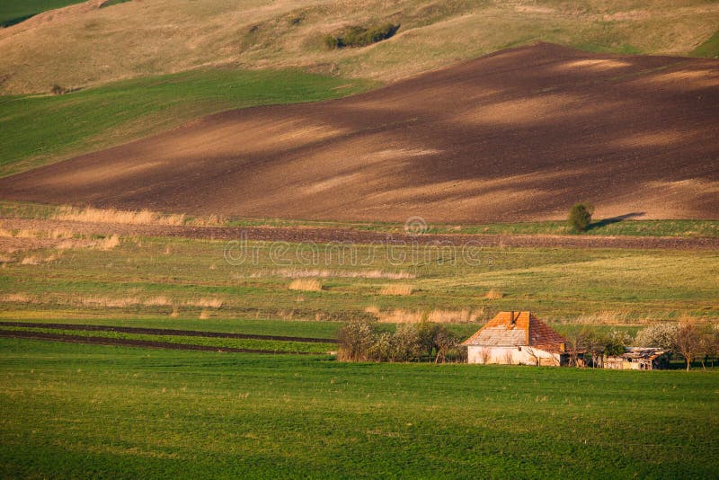 Rolling hills in spring stock image. Image of harvest - 145196919
