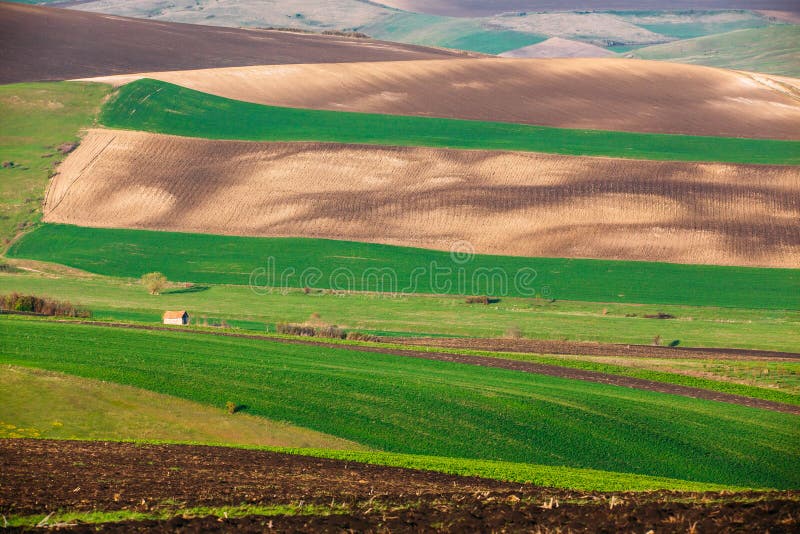 Rolling hills in spring stock photo. Image of grass - 145196924