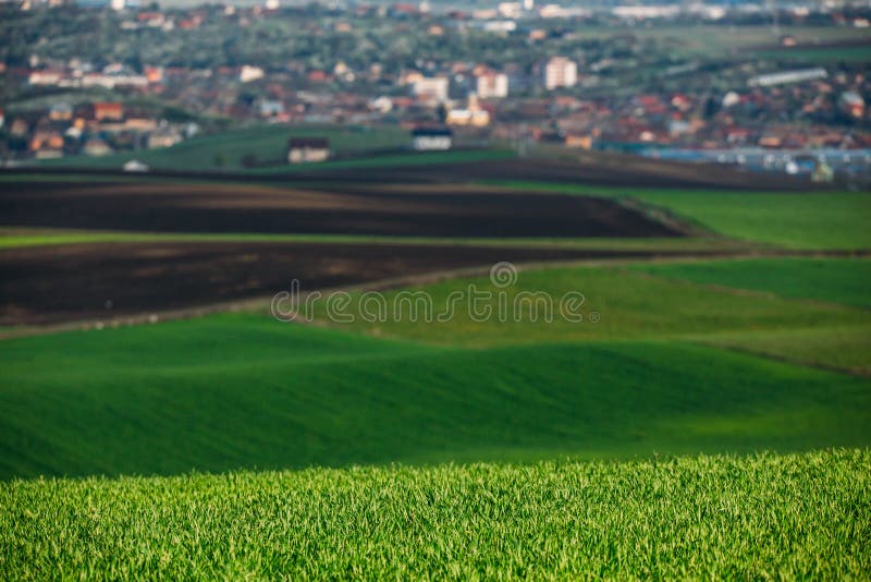 Rolling hills in spring stock photo. Image of pasture - 172606712