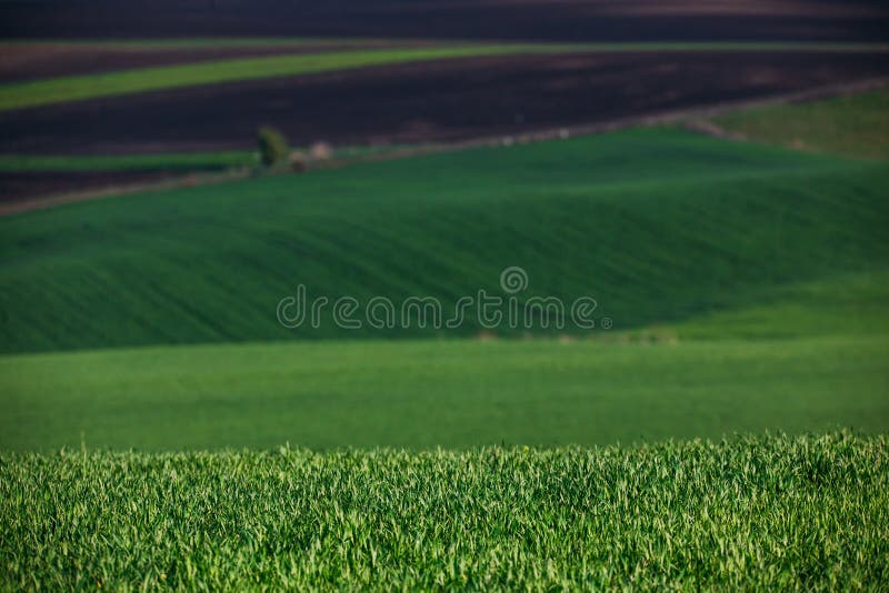 Rolling hills in spring stock photo. Image of beautiful - 172606718