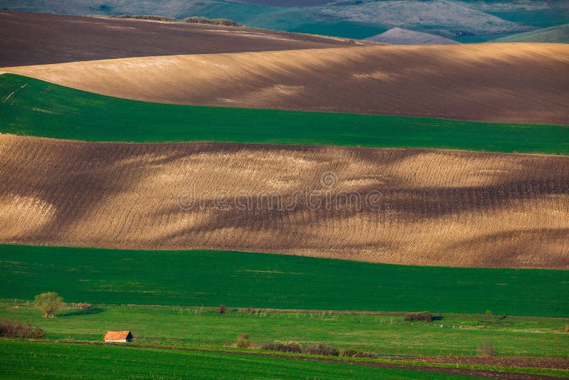 Rolling hills in spring stock image. Image of beautiful - 172606747