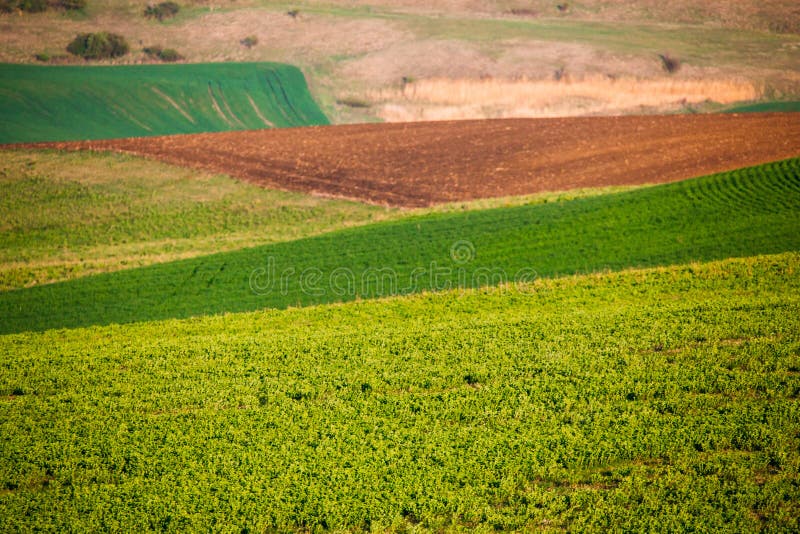 Rolling hills in spring stock photo. Image of tree, horizon - 172606856
