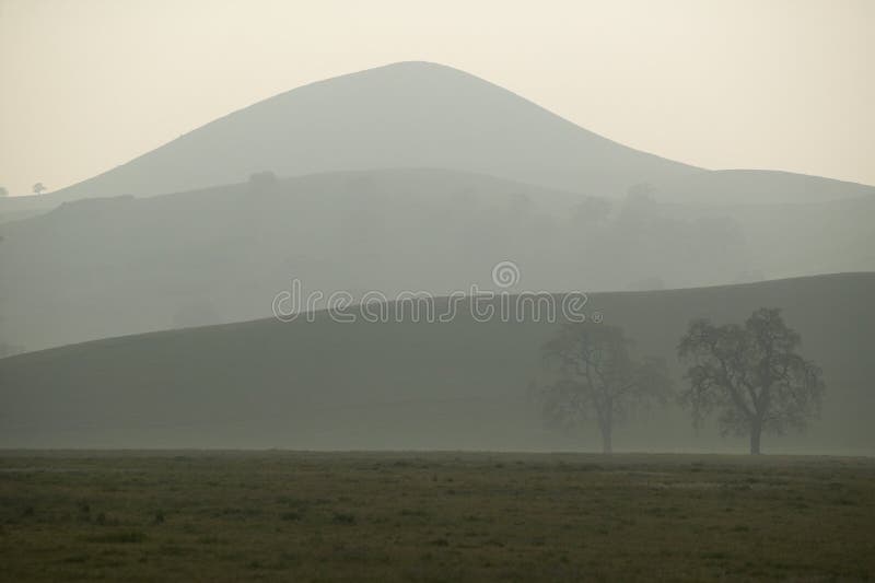 Rolling Hills in the Spring at Sunset Stock Photo - Image of trees ...