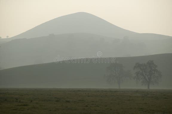 Rolling Hills in the Spring at Sunset Stock Photo - Image of trees ...