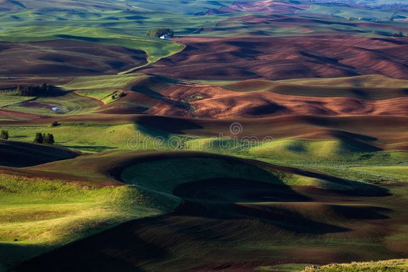 Palouse Valley in the fall stock photo. Image of autumn - 103580816