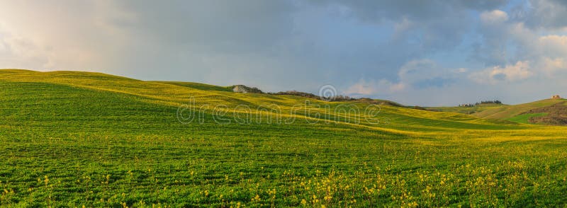 Rolling Hills of Tuscany, Italy Stock Image - Image of meadow, scenery ...