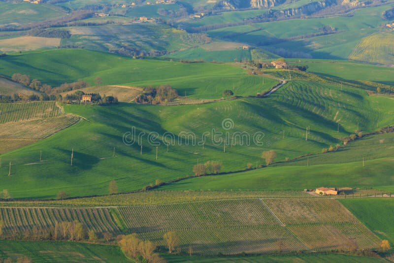 Rolling Hills of Tuscany, Italy Stock Image - Image of cypress, meadow ...