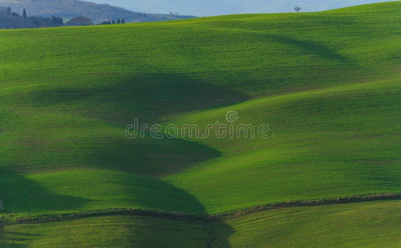 Rolling Hills of Tuscany, Italy Stock Photo - Image of siena, hills ...