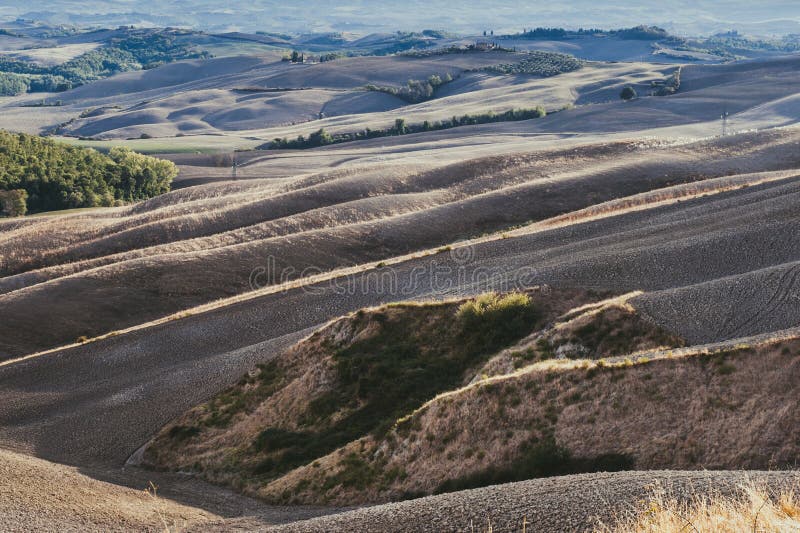 Rolling hills in Tuscany stock photo. Image of italy - 186236610