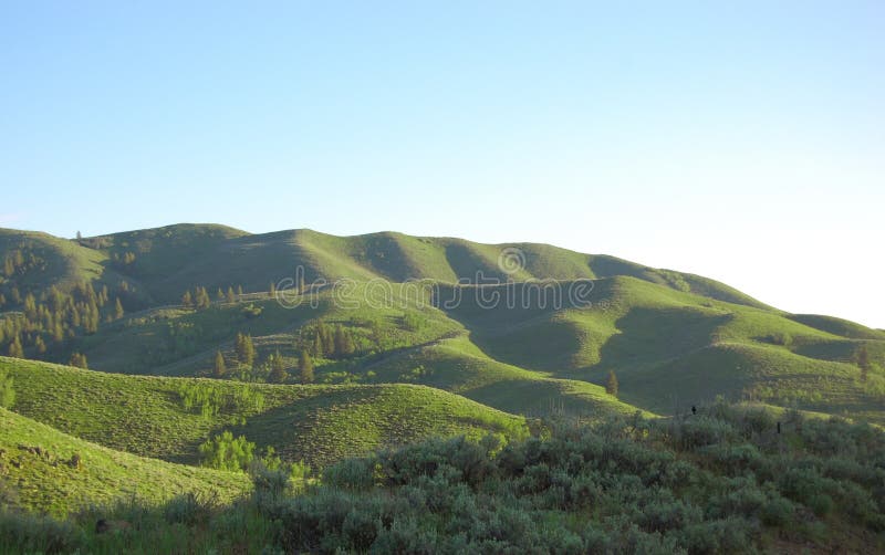 Rolling Hillside stock image. Image of green, farm, ecosystem - 29252195