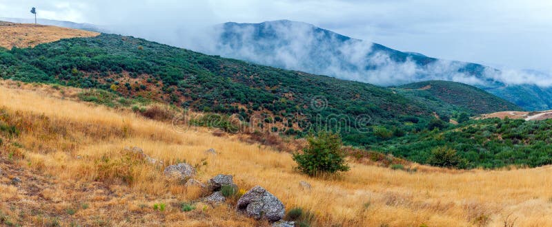 A Rolling Hillside Landscape with Dry Grass, Green Vegetation, Stock ...