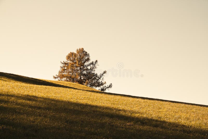Rolling hillside stock image. Image of background, hill - 61619727