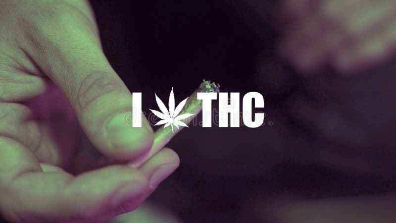 Rolling Joint with Weed Buds Close-up. Smoking Culture in the World ...