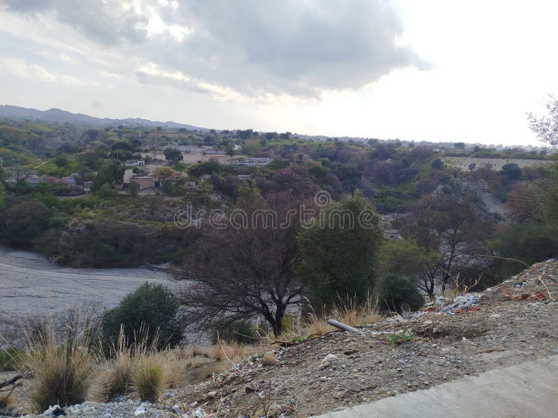 3,968 Cloudy Shrubs Sky Trees Stock Photos - Free & Royalty-Free Stock ...