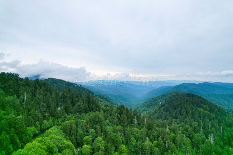 Rolling mountains 22 stock image. Image of nature, jungle - 254394679