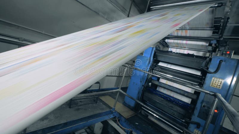 Automated Production Line. Modern Food Technology Conveyor. 4K. Stock ...